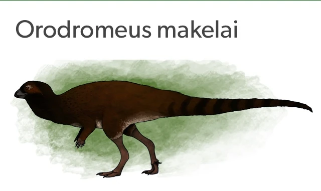 Orodromeus | Dinopedia | Fandom
