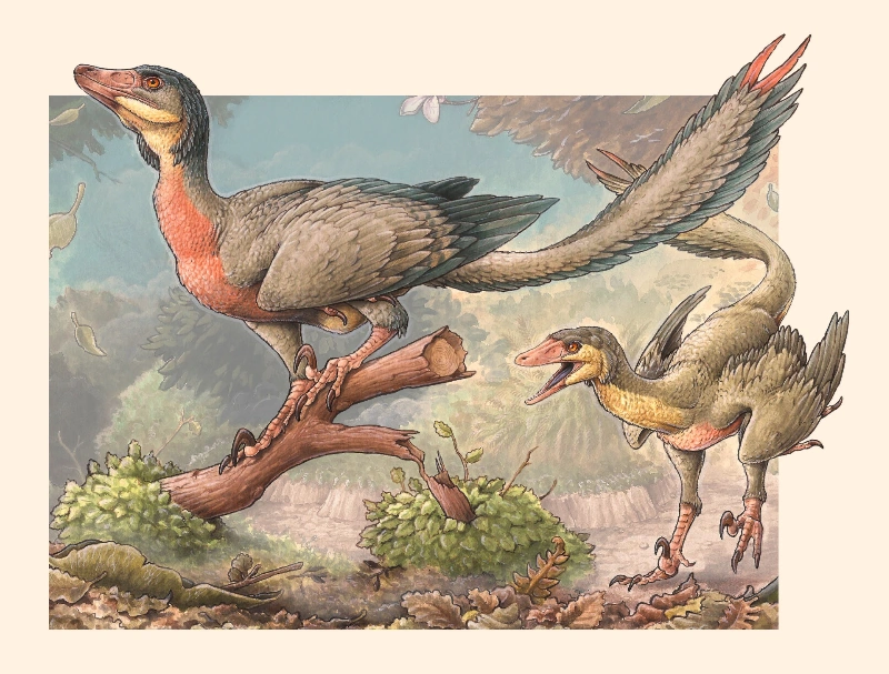Overoraptor | Dinopedia | Fandom