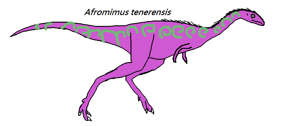 Afromimus | Dinopedia | Fandom