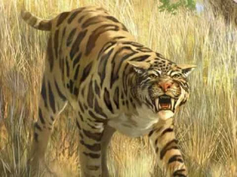 Nimravides | Dinopedia | Fandom