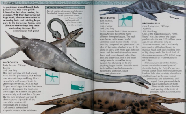 Peloneustes | Dinopedia | Fandom