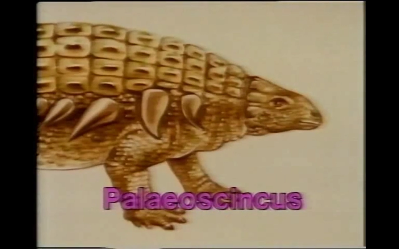 Palaeoscincus | Dinopedia | Fandom