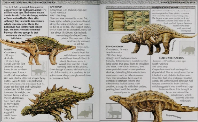 Gargoyleosaurus | Dinopedia | Fandom