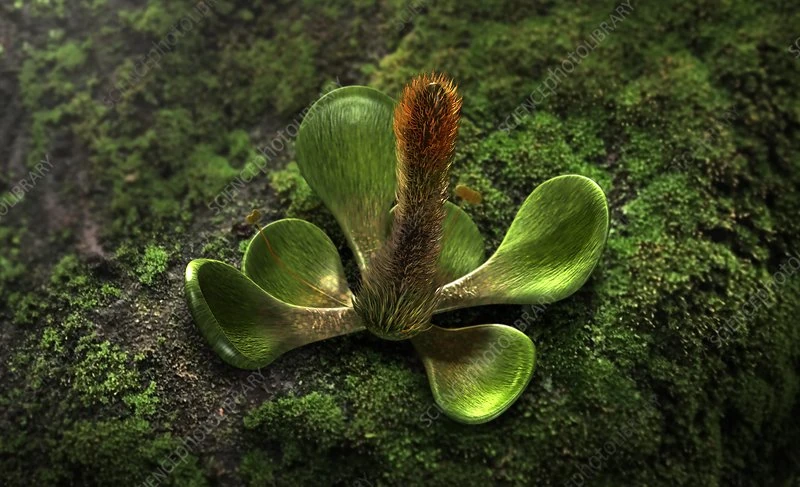 A noob project - Page 19 - The ZT2 Round Table