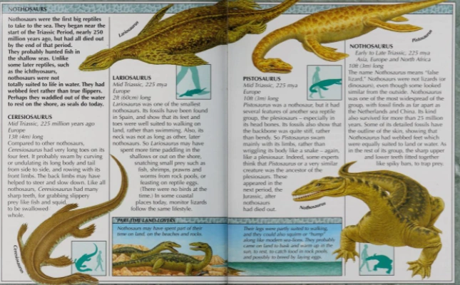 Lariosaurus | Dinopedia | Fandom