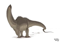 Maraapunisaurus | Dinopedia | Fandom
