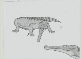 Simoedosaurus | Dinopedia | Fandom