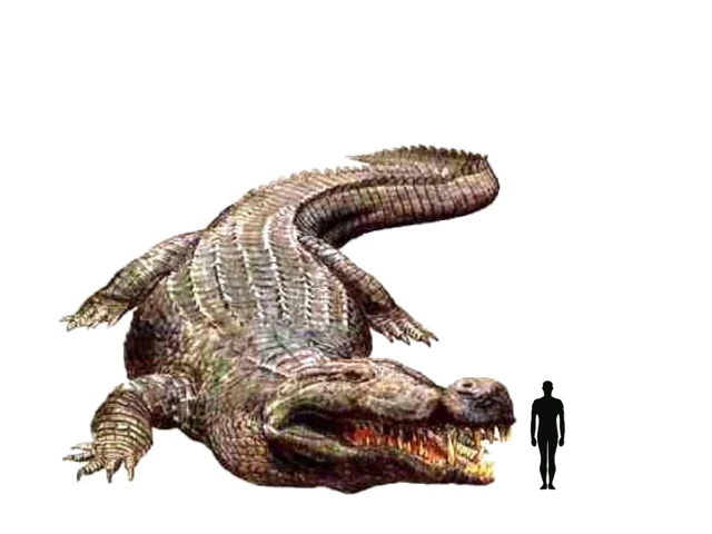 Image - Deinosuchus sie.jpeg | Dinopedia | FANDOM powered by Wikia