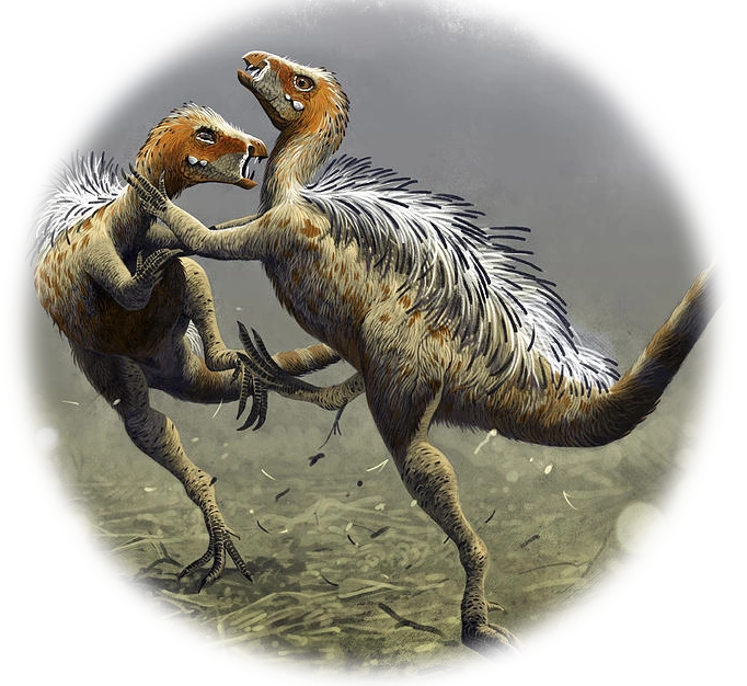 Category:Dinosaurs of China | Dinopedia | Fandom