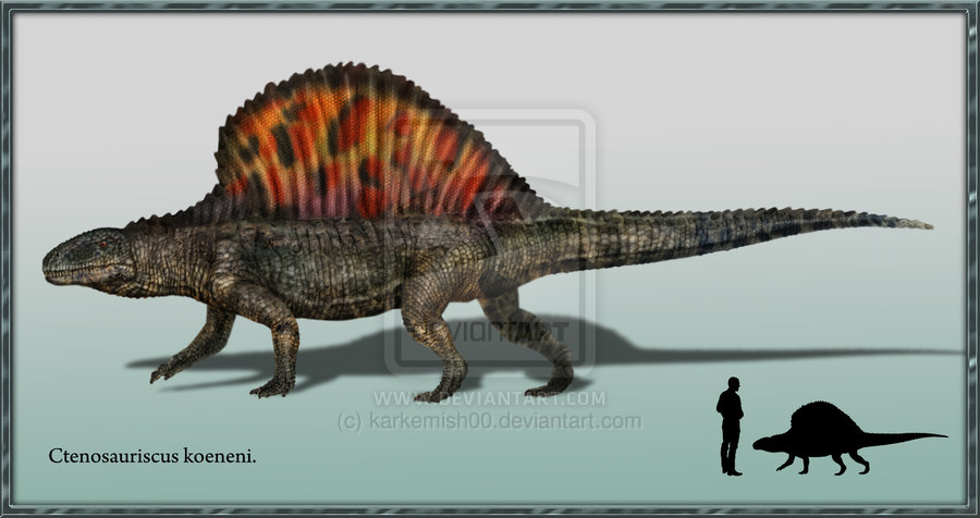Ctenosauriscus Dinopedia Fandom Powered By Wikia