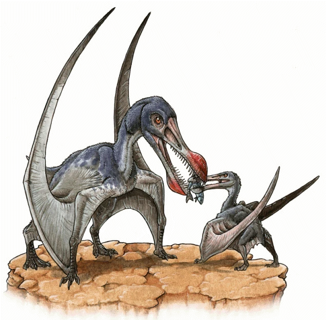 Ornithocheirus | Dinopedia | FANDOM powered by Wikia