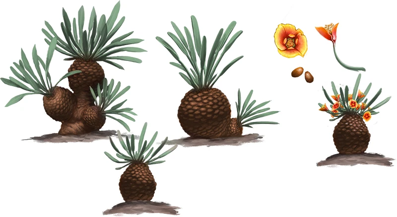 A noob project - Page 19 - The ZT2 Round Table