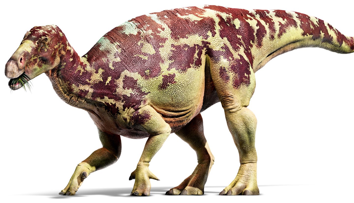 Category:Cryptids | Dinopedia | Fandom Category:Cryptids | Dinopedia | Fandom