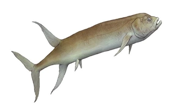 Gillicus | Dinopedia | FANDOM powered by Wikia