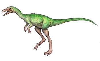 Compsognathus | Dinopedia | FANDOM powered by Wikia