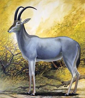 Bluebuck | Dinopedia | FANDOM powered by Wikia