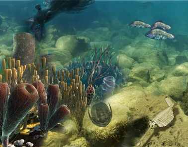 Cambrian | Dinopedia | Fandom