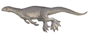 Claudiosaurus | Dinopedia | Fandom