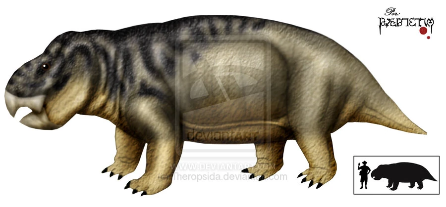 【古生物】国内初 「ディキノドン類」の陸上の脊椎動物の化石 山口 美祢