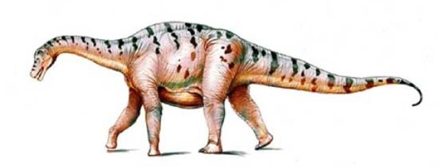 Image - Bonitasaura.png | Dinopedia | FANDOM powered by Wikia