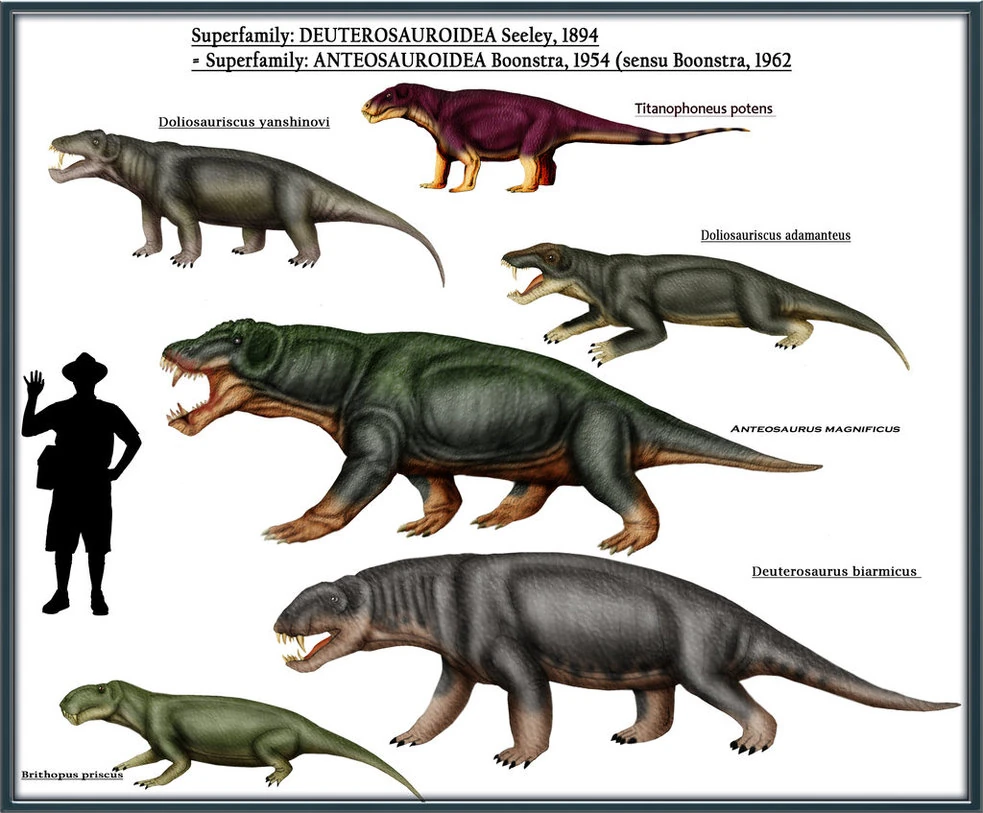 Deuterosauroidea | Dinopedia | FANDOM powered by Wikia