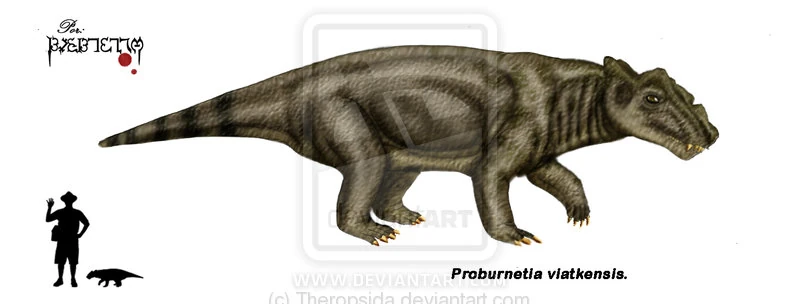 Proburnetia | Dinopedia | Fandom