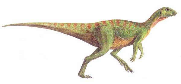 Hypsilophodon | Dinopedia | Fandom