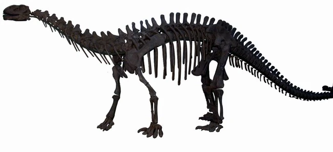 Bashunosaurus | Dinopedia | Fandom