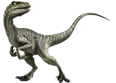 Image - Delta Raptor.png | Dinopedia | FANDOM powered by Wikia