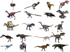 Theropoda | Dinopedia | Fandom