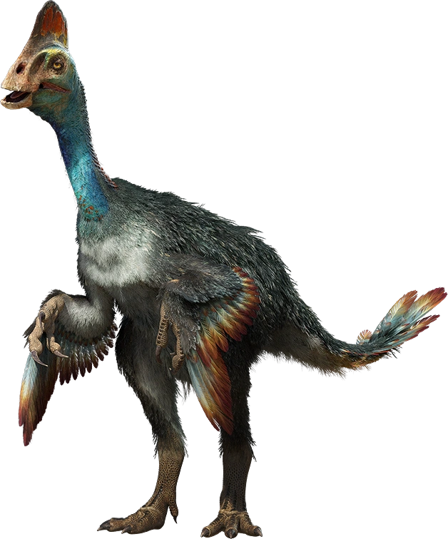Chirostenotes | Dinopedia | FANDOM powered by Wikia