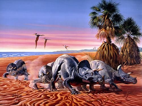 Triceratopsgallery Dinopedia Fandom Powered By Wikia