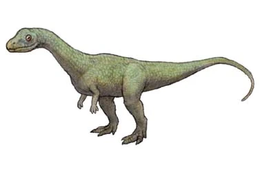 Effigia | Dinopedia | Fandom