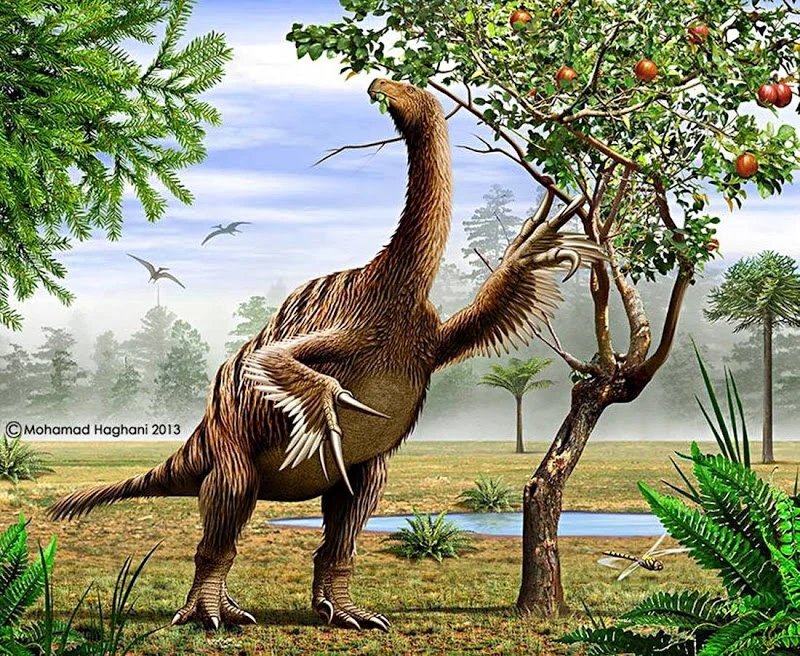 Nothronychus | Dinopedia | Fandom