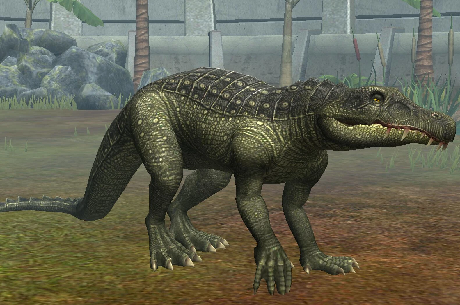 Nundasuchus | Dinopedia | FANDOM powered by Wikia