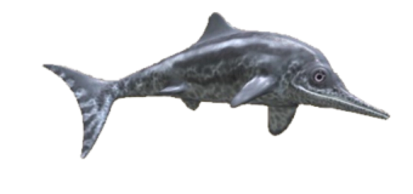 Ichthyosaurus | Dinopedia | Fandom