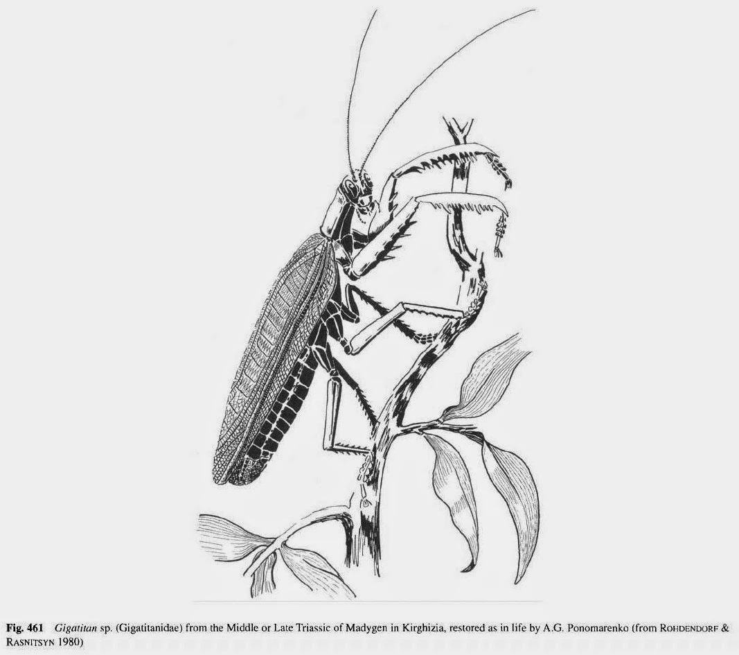 Titanoptera | Dinopedia | Fandom