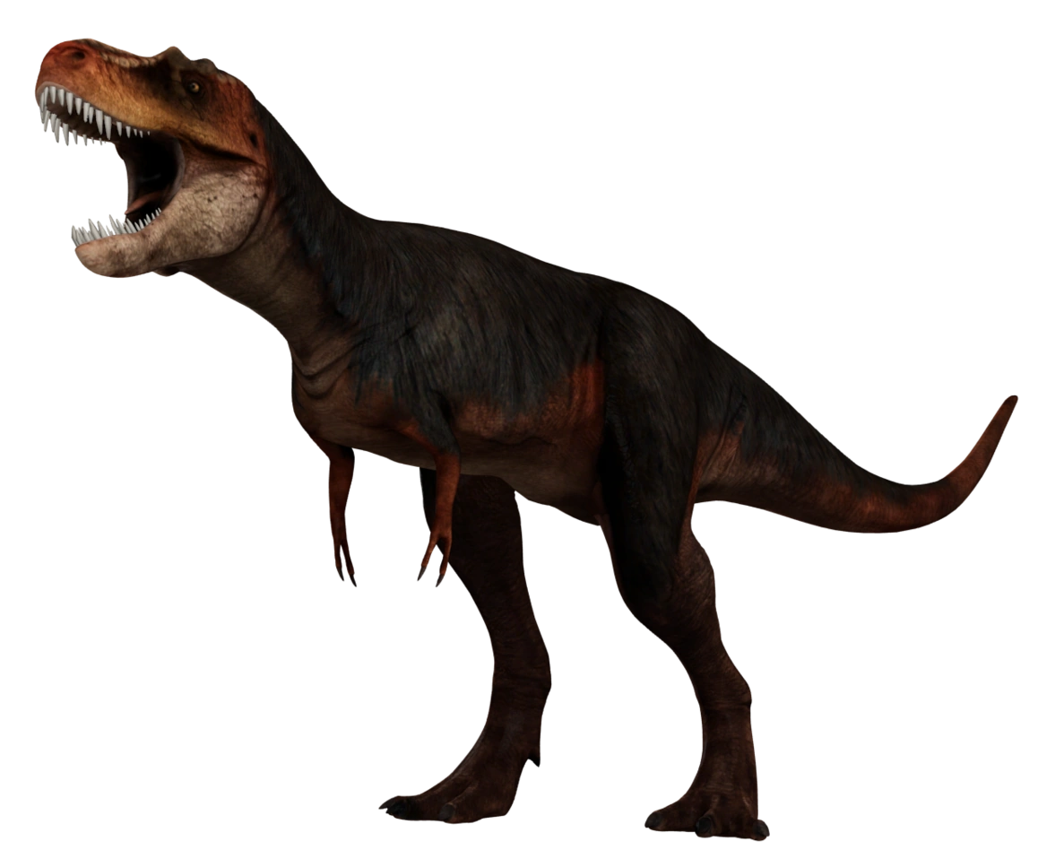 Image - Scale Albertosaurus.png | Dinopedia | FANDOM powered by Wikia