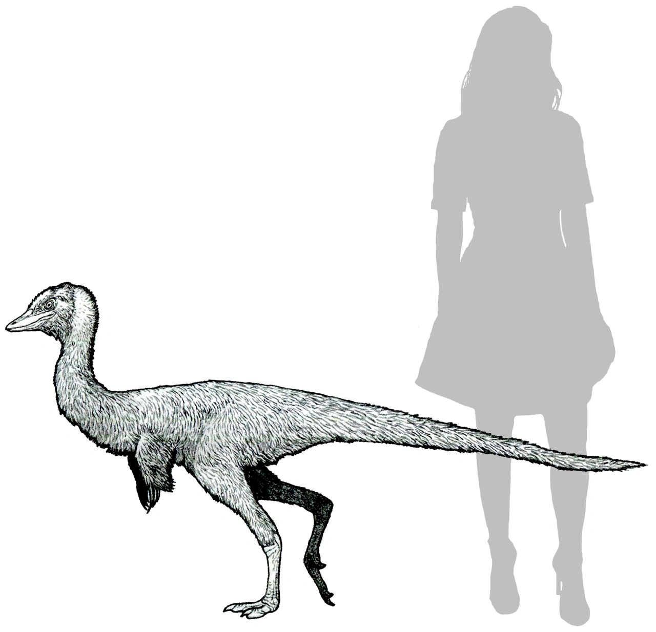 Bannykus | Dinopedia | Fandom