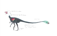 Alvarezsaurus | Dinopedia | Fandom