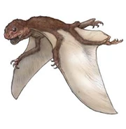 Jeholopterus | Dinopedia | FANDOM powered by Wikia