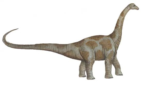 Aepisaurus | Dinopedia | FANDOM powered by Wikia