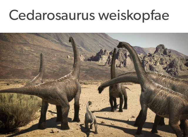 Cedarosaurus | Dinopedia | FANDOM powered by Wikia