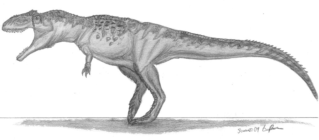 Image Giganotosaurus Carolinii By Emperordinobot Dinopedia