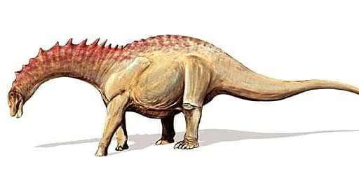 Pilmatueia | Dinopedia | Fandom