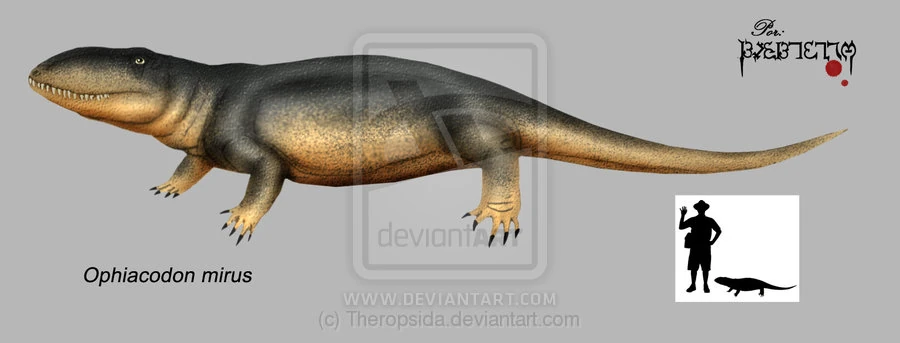 Ophiacodon | Dinopedia | Fandom