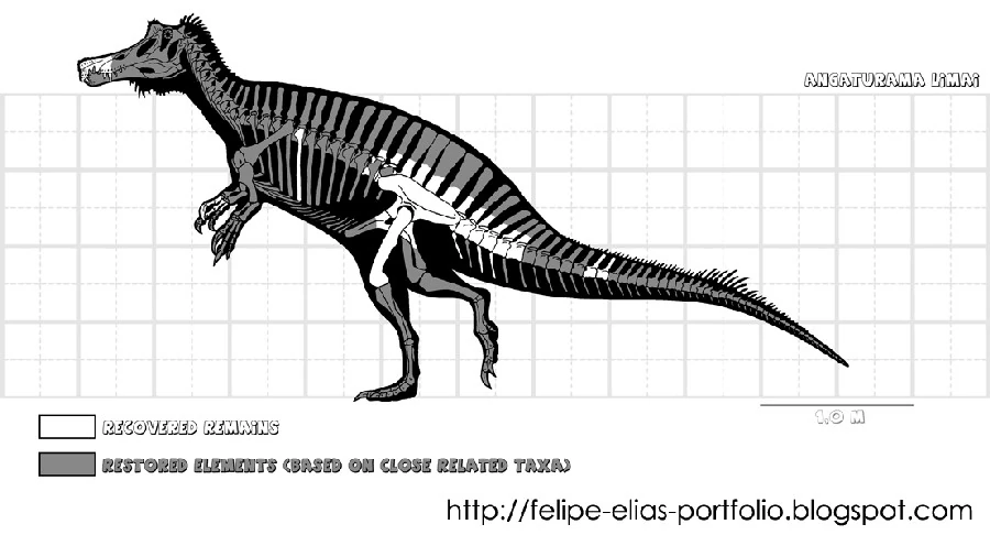 Angaturama | Dinopedia | Fandom
