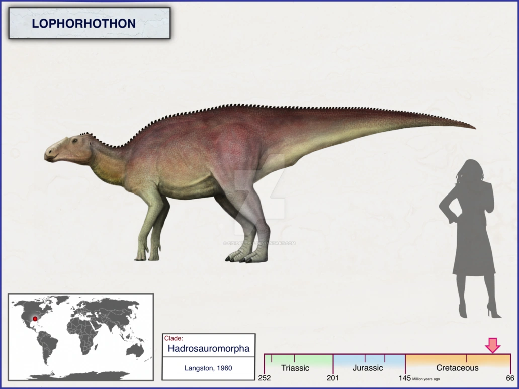Lophorhothon | Dinopedia | Fandom
