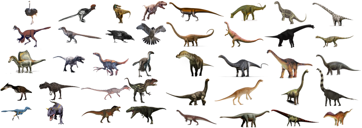 Saurischia | Dinopedia | Fandom