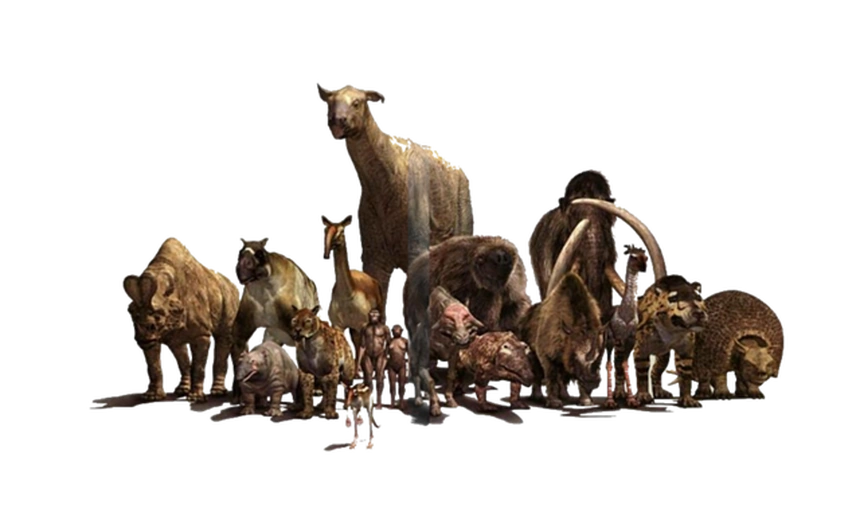 Leptictidium | Dinopedia | Fandom